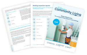 Strata defects series | PICA Group