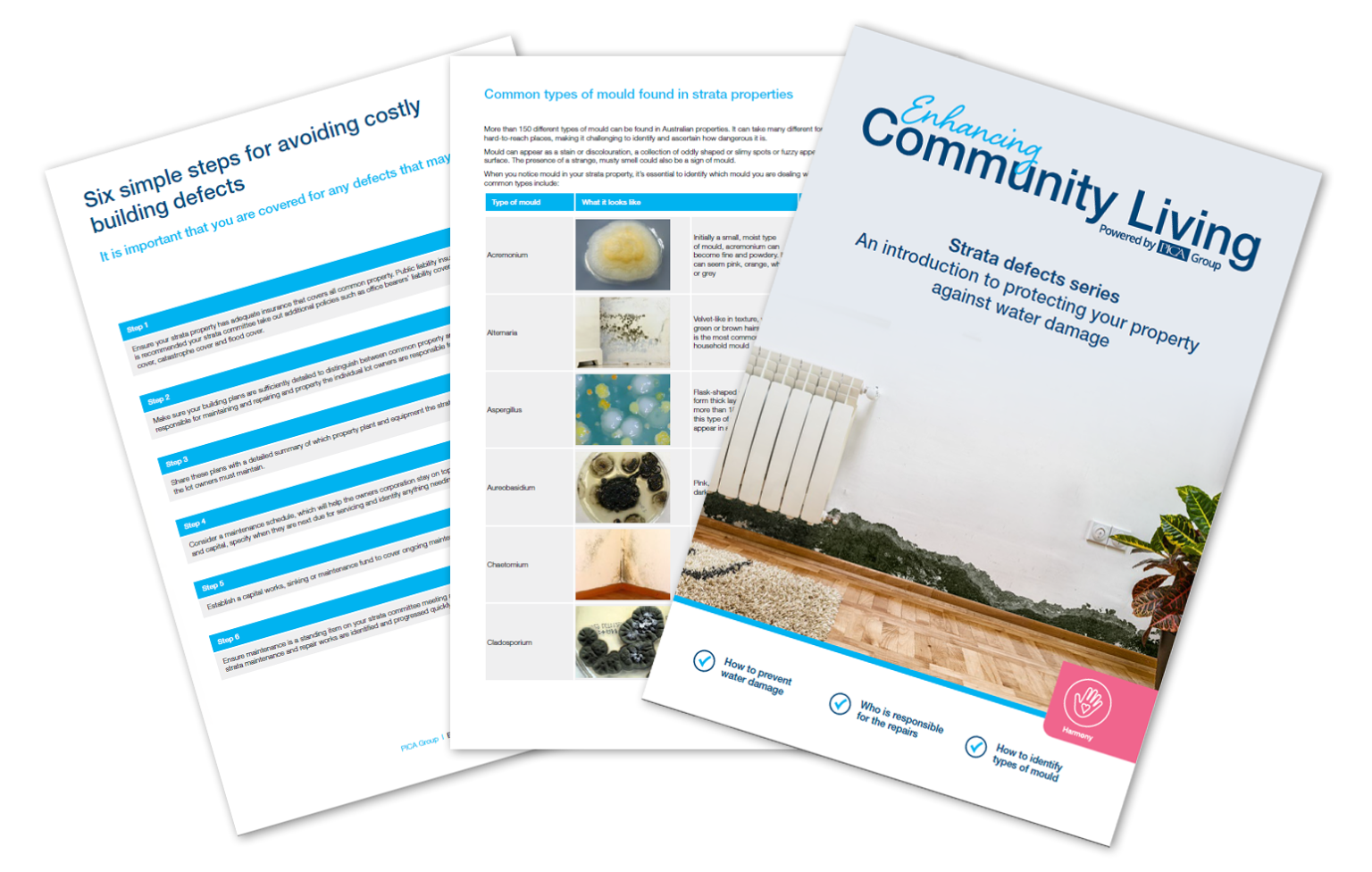 Strata defects series | PICA Group
