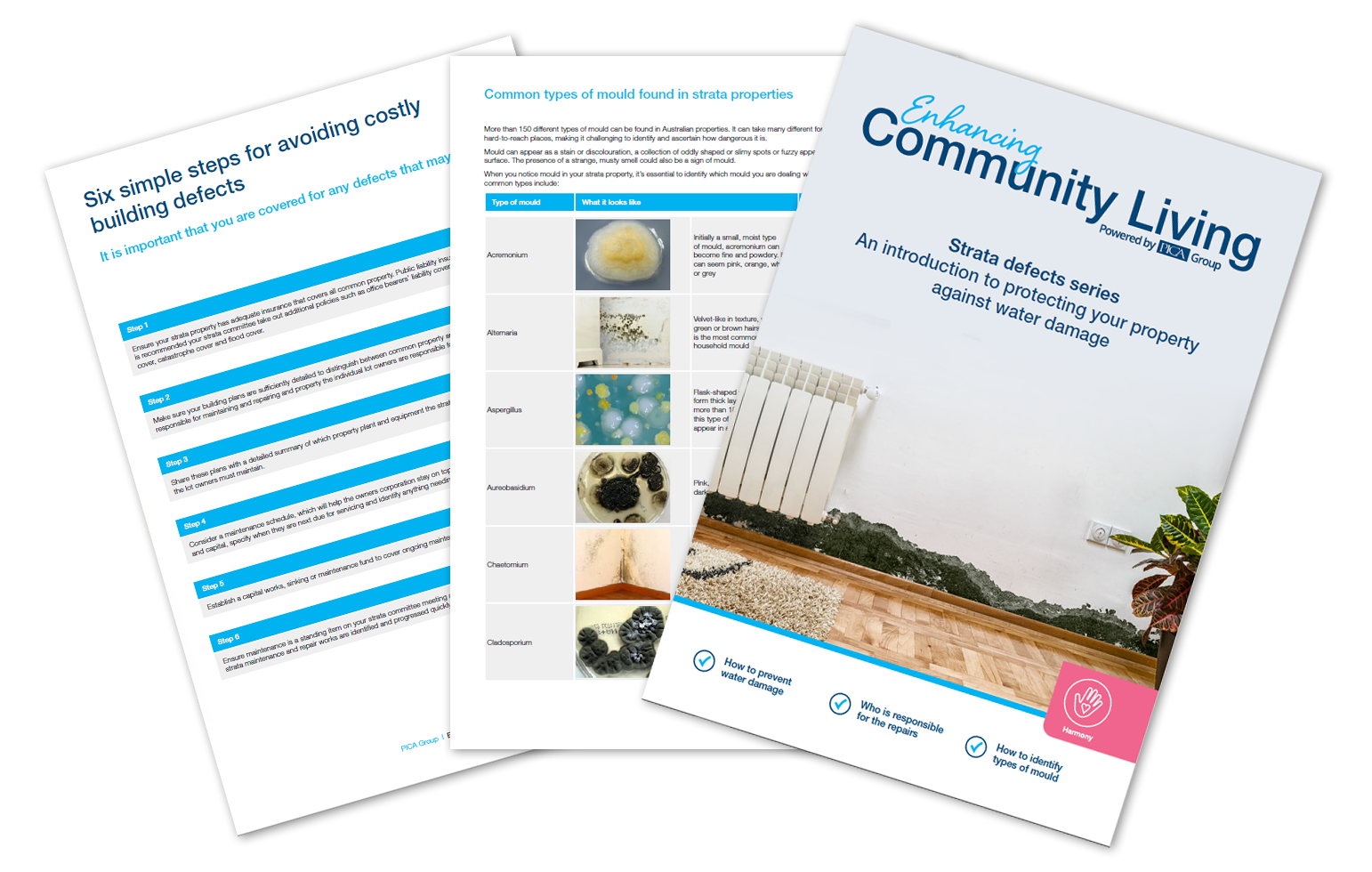 Strata defects series | PICA Group