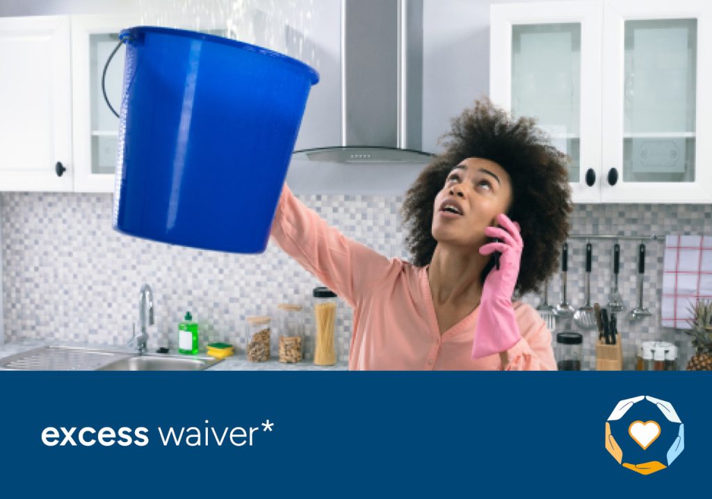 PICA Group privilege | PICA Group